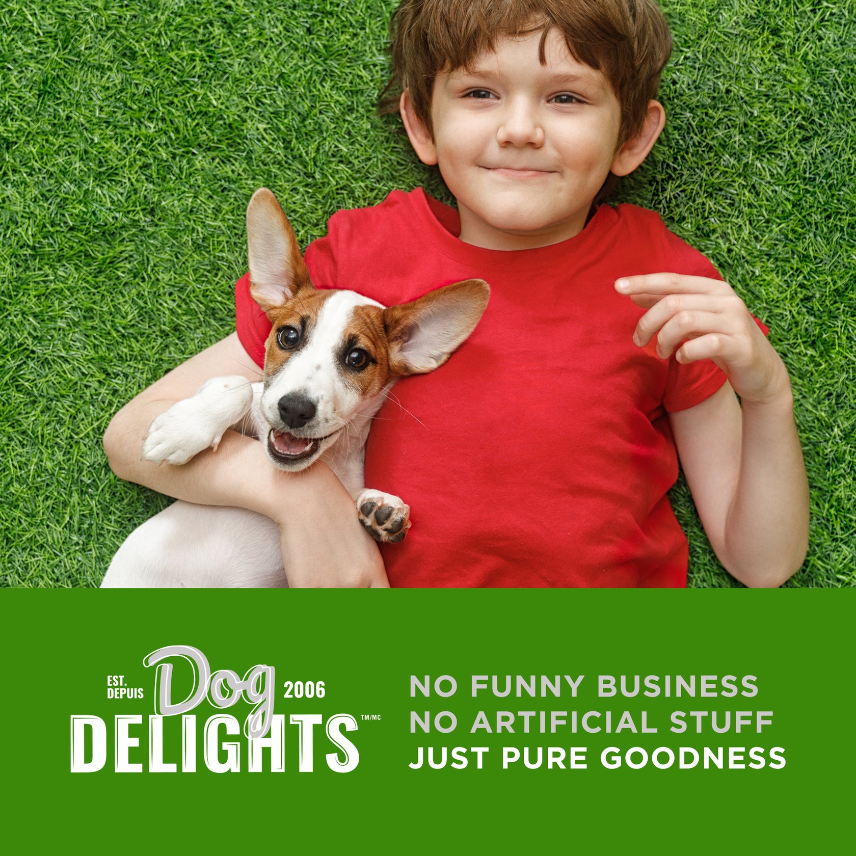 Chewy Ducks Sticks by Dog Delights | Bulk Dog Treats – Dog Delights Treats