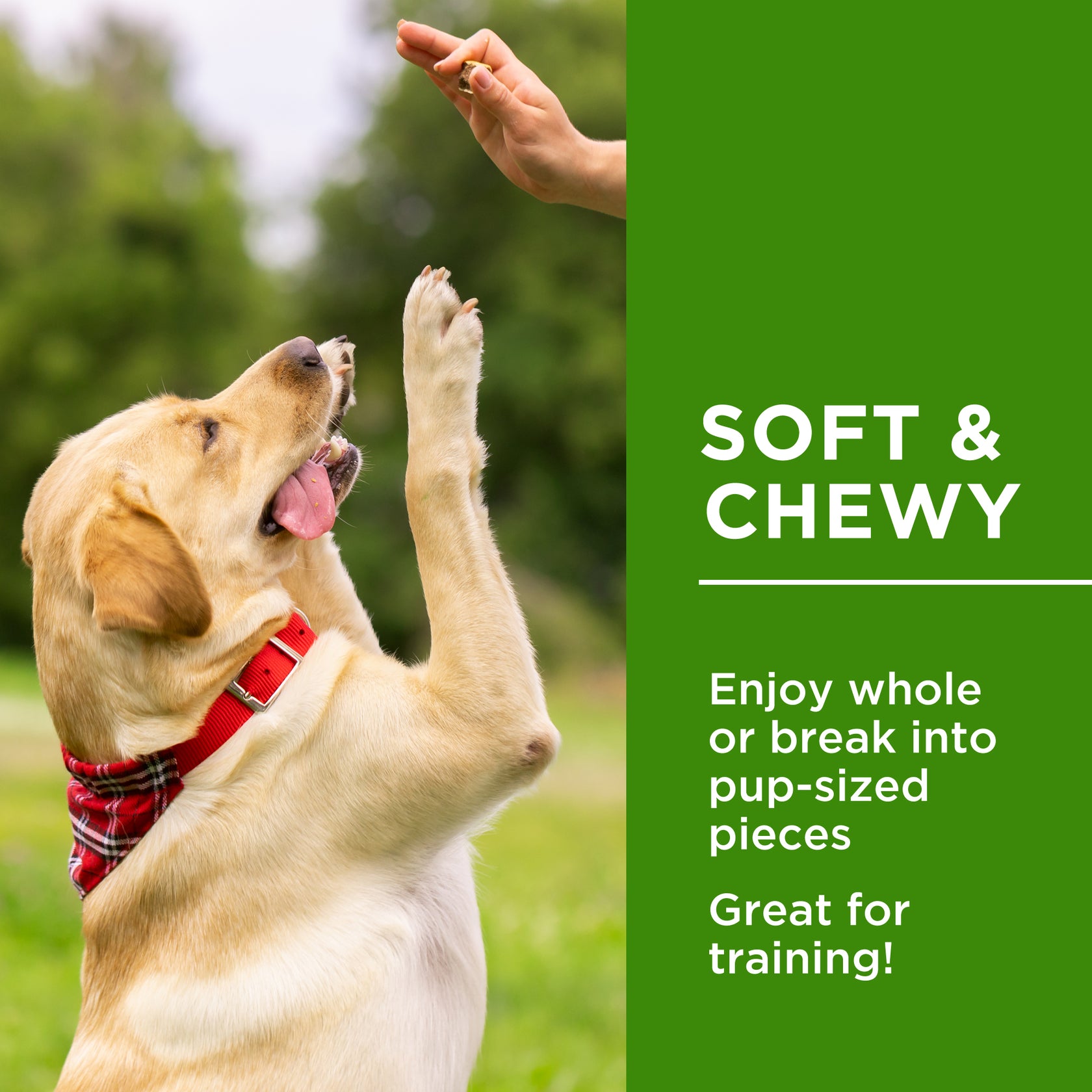 Chewy Ducks Sticks by Dog Delights | Bulk Dog Treats – Dog Delights Treats